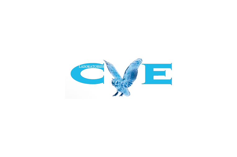 Du nouveau chez CVE